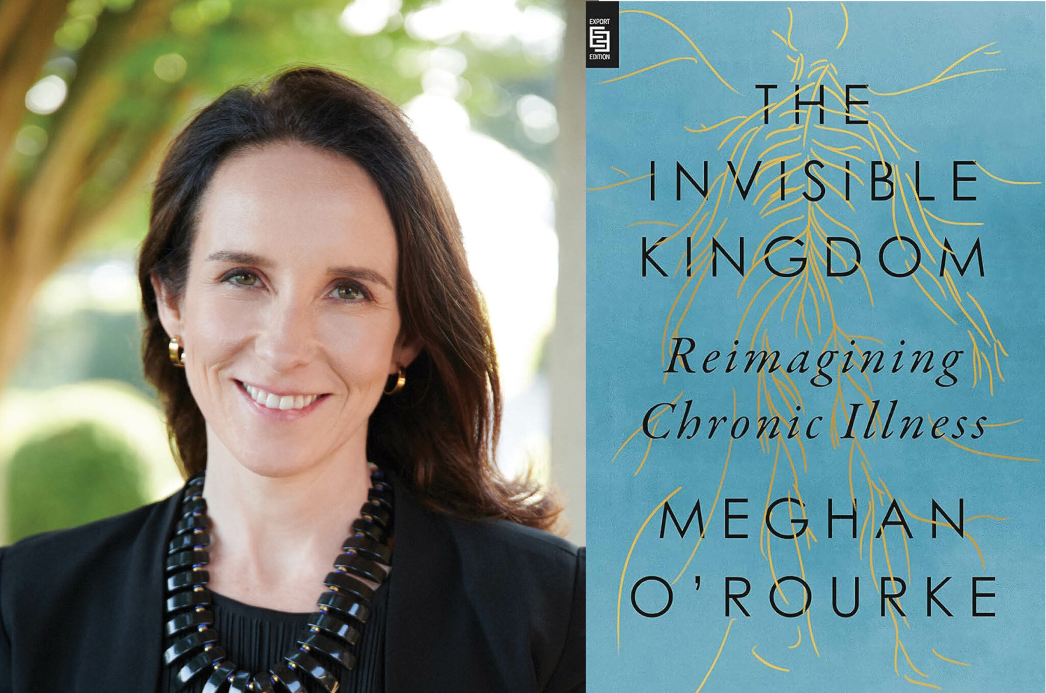 Meghan O'Rourke on The Invisible Kingdom - The American Library in Paris